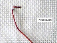 Sienese Stitch - Pintangle