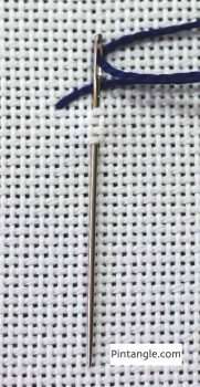 Diagonal Straight and Back Stitch - Pintangle